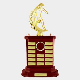 evright.com | Traditional AFL Footy Perpetual Tower Trophy