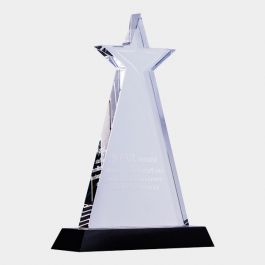 evright.com | Ebony Black and Clear Crystal Star Trophy